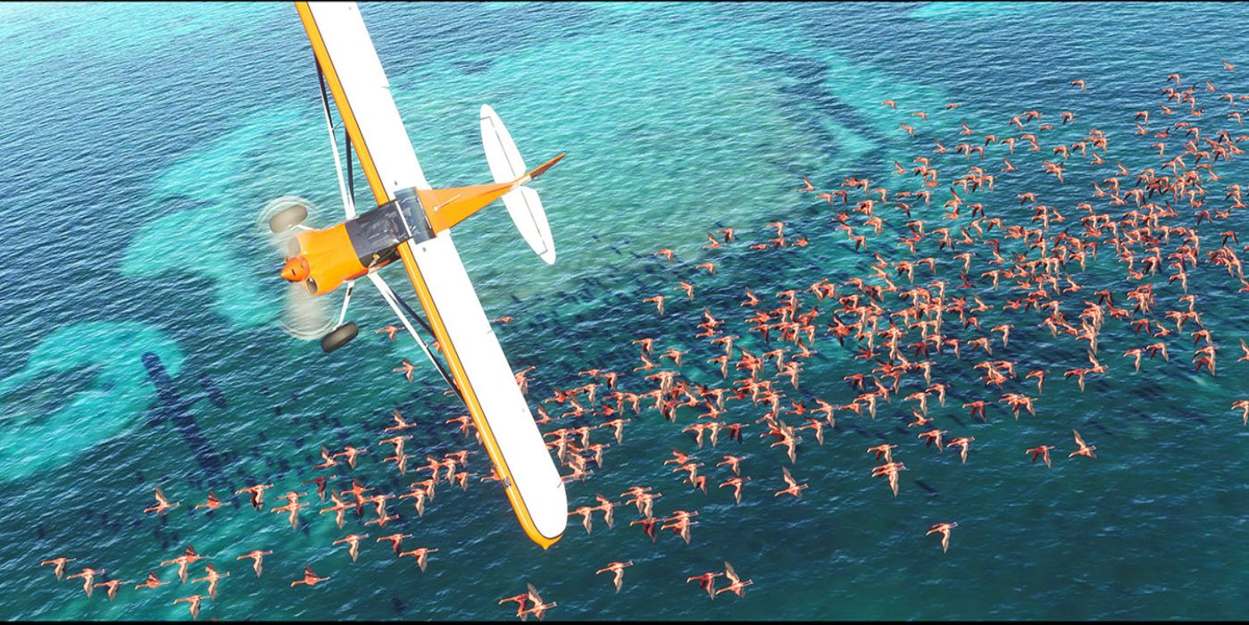 Microsoft Flight Simulator Leaked Gameplay is Very Impressive